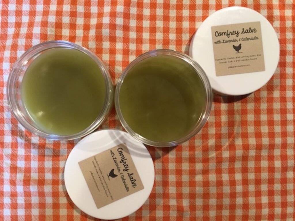 Using Comfrey for Poultry - Backyard Poultry